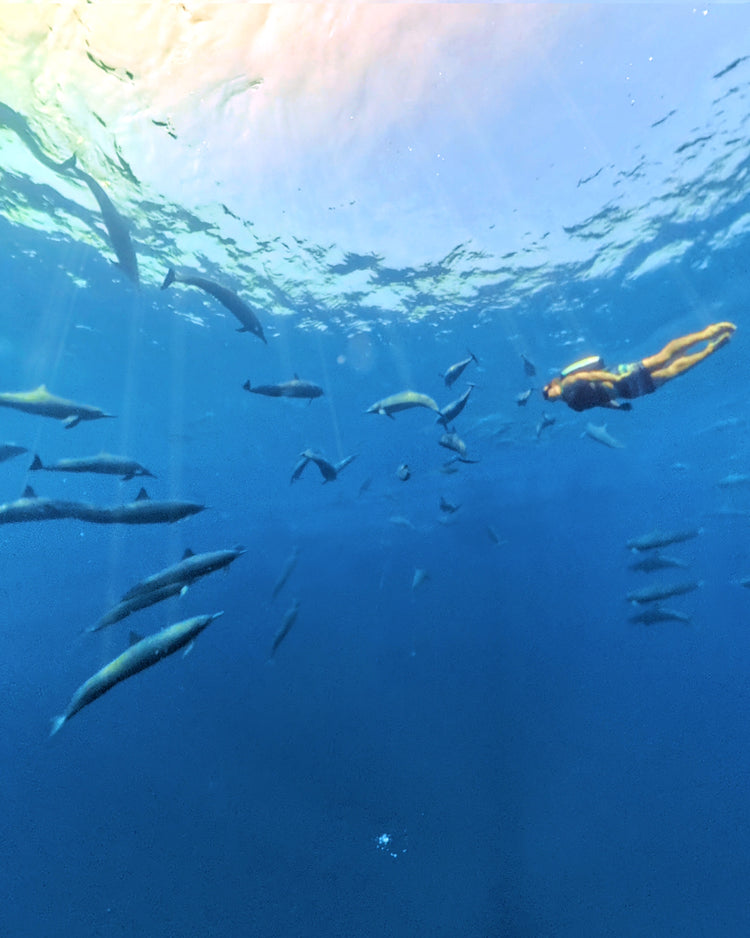 CudaJet | The World’s First Underwater Jetpack