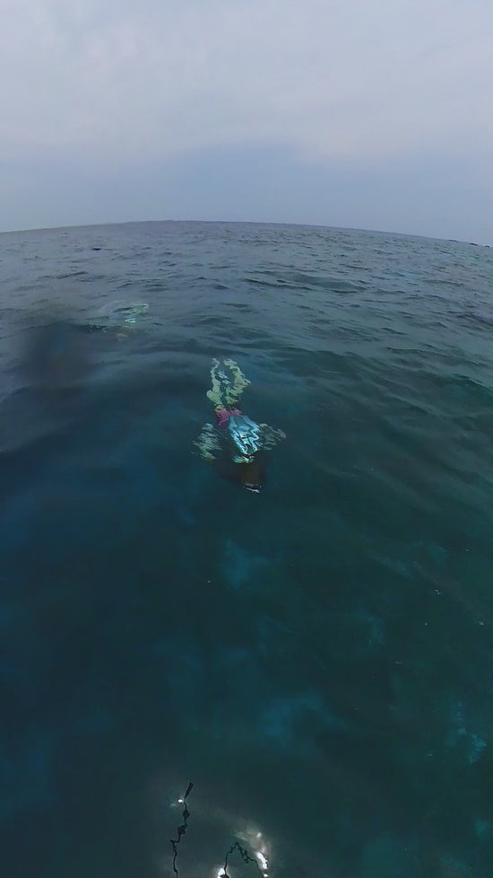 Underwater Jetpack ｜A Breakthrough in Technology – CudaJet